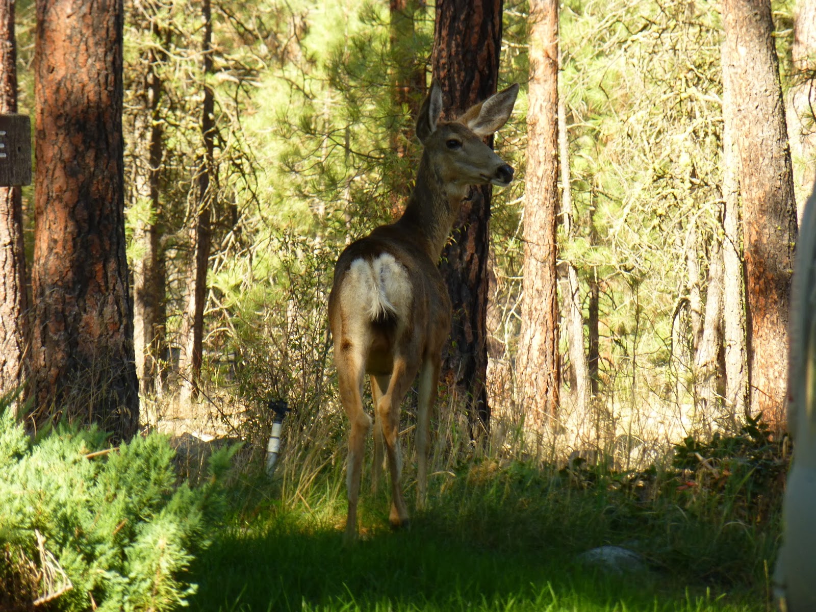 Dirty Walking: Eastern Washington Extravaganza