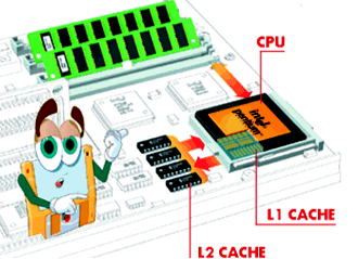 Componentes del CPU y capas de la Red: Memoria Cache
