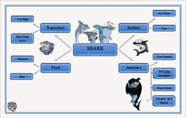 Al-Fajri Blog's: REPORT TEXT ABOUT SHARK