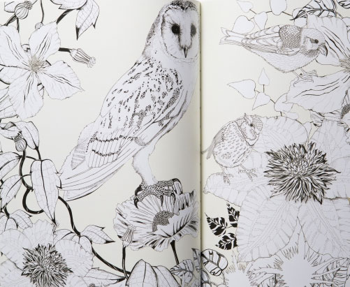 My Owl Barn: Birdtopia: Coloring Book by Daisy Fletcher
