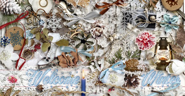 New Mega Collection & Freebie