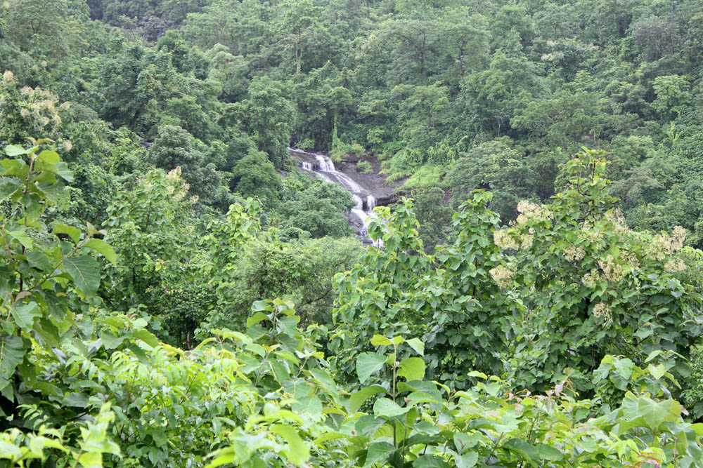 picsrover: Usgaon Dam