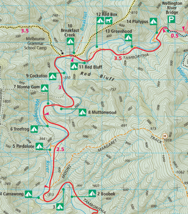 Back To Nature:: Campsites - Wellington River - Alpine NP - VIC