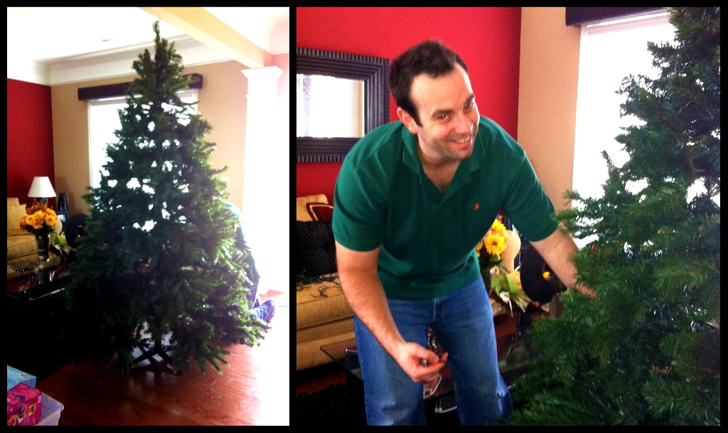 Werdyab Blog: Christmas Decorating Disaster