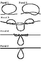 Pescuit Sportiv: Noduri si Monturi
