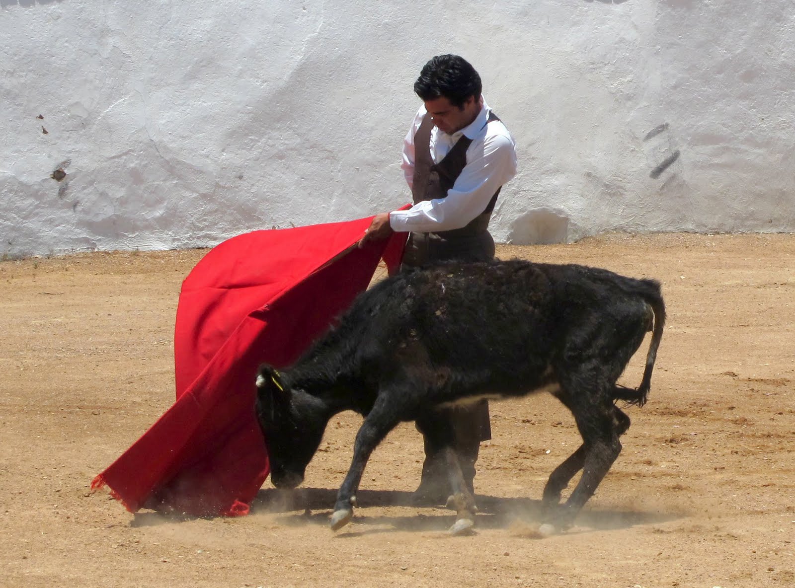 TauroFiesta: ESTE HOMBRE NO ESTÁ JUGANDO A SER TORERO