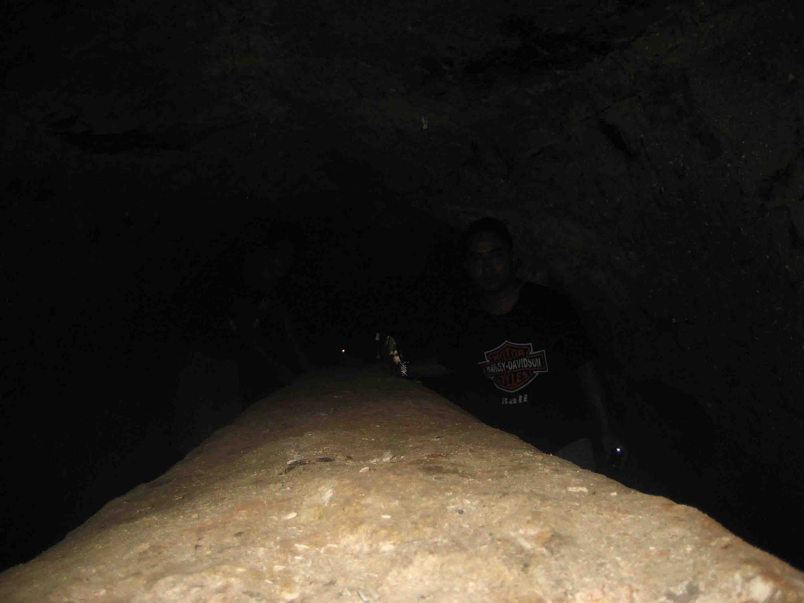Fossil Wood indonesia: Digging Out Petrified Wood Process