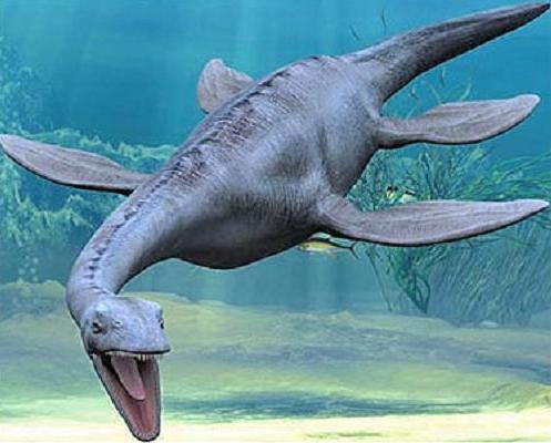 INFRAMUNDO: NESSIE: Un extraño animal en un lago de Escocia