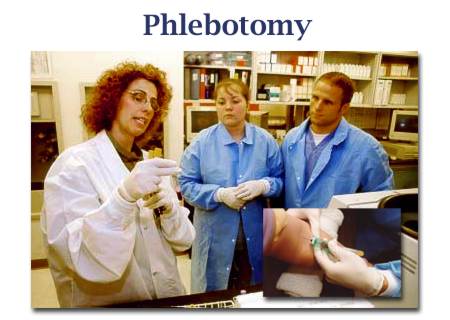 PHLEBOTOMY FACTS