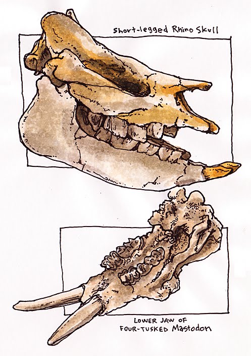 LUDstuff!: SKETCHBOOK - Big Sharp Teeth and Bones!