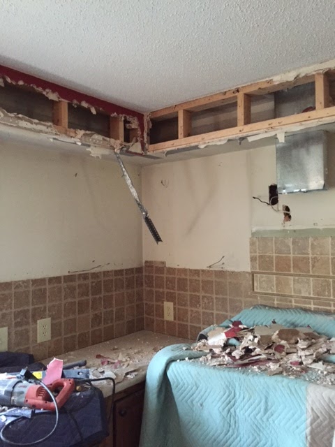 JBigg: Life in Kentucky: Remodeling the Kitchen - tearing it out