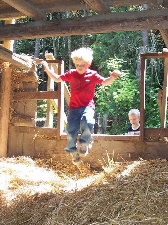 Homeschool Distractions: Pioneer Farm Museum 2011