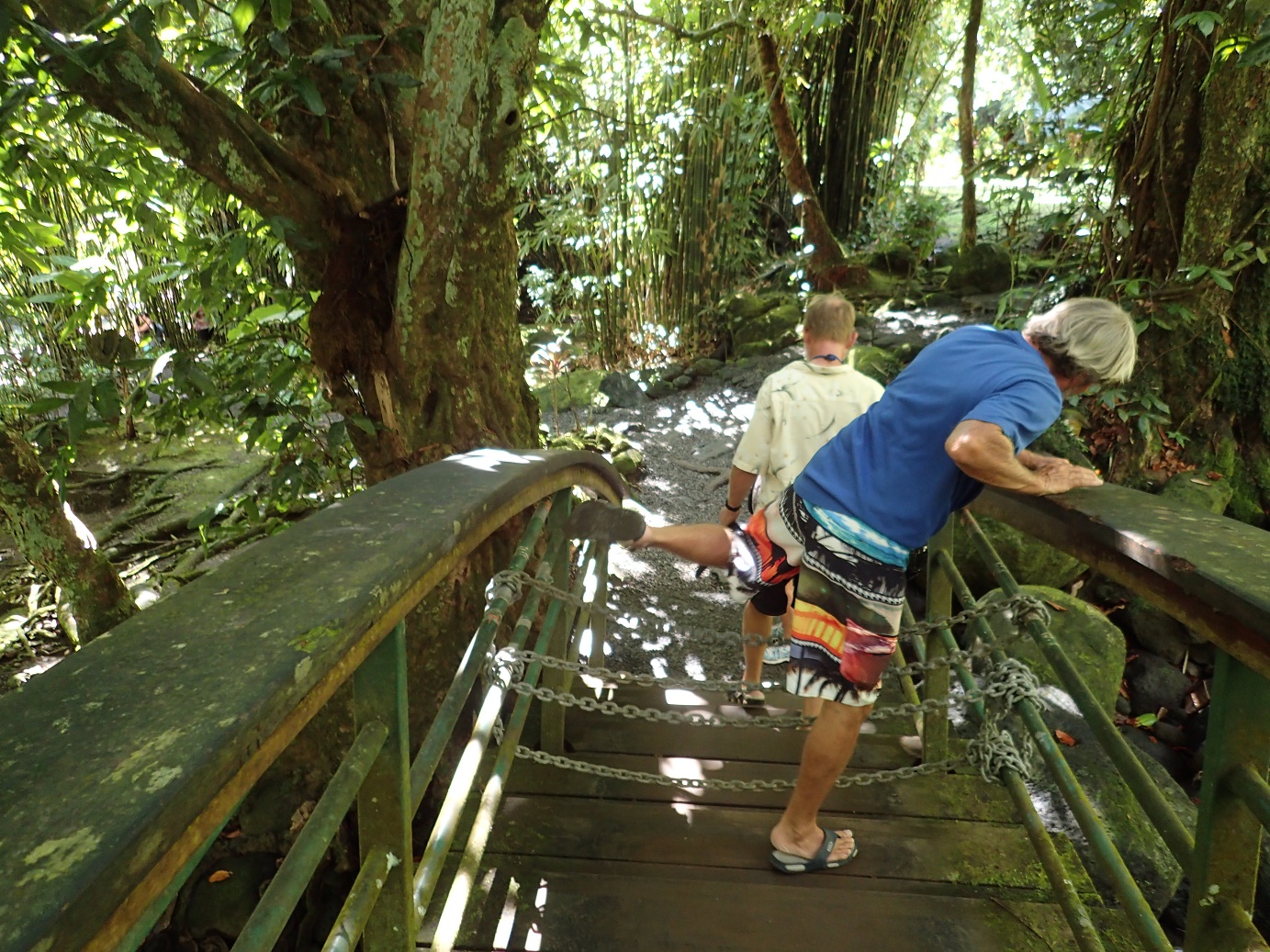 Tahiti: Blocked Waterfall Trail | Galley Wench Tales
