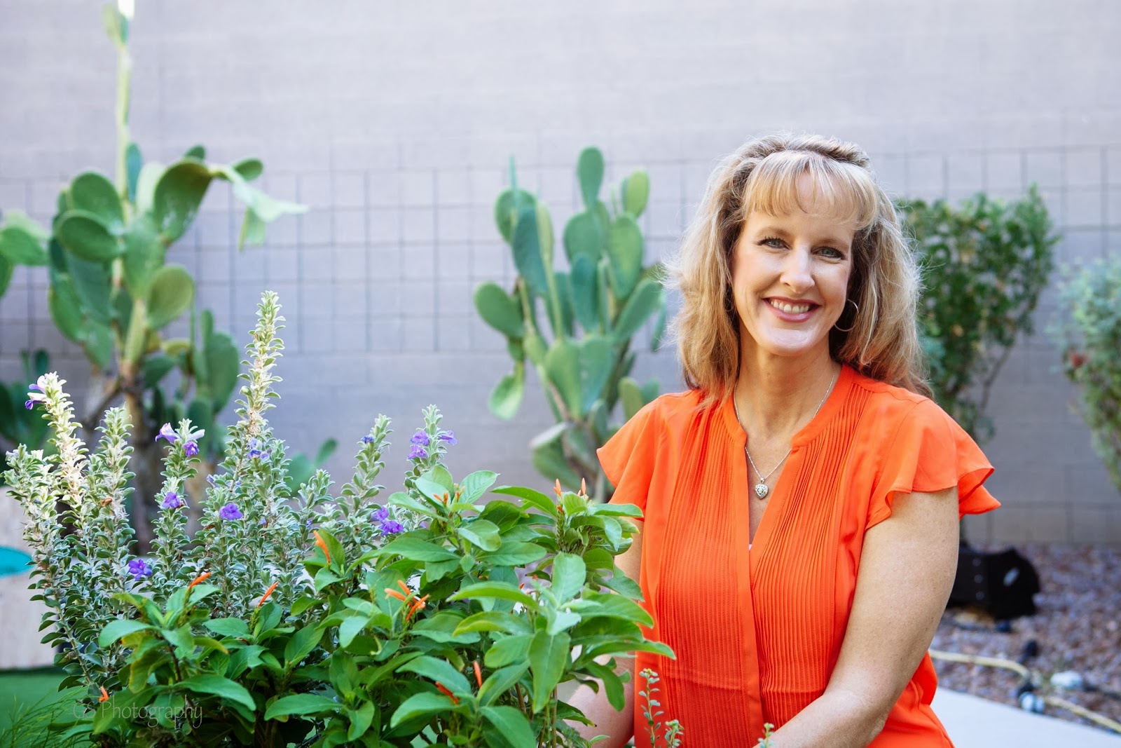 Terri Ouellette Archives - Ramblings from a Desert Garden