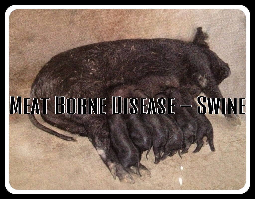 Zoonoses and Public Health: MEAT BORNE - PNEUMONIA (PIGS/SWINE)