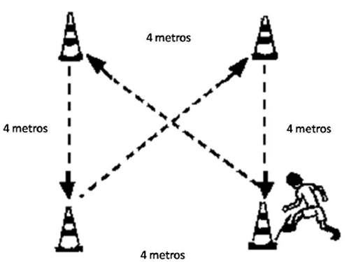 AVALIAÇÃO FÍSICA EM FOCO: Teste de agilidade