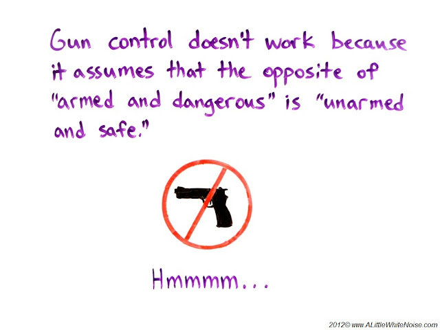 White Noise: Why gun control just doesn't work