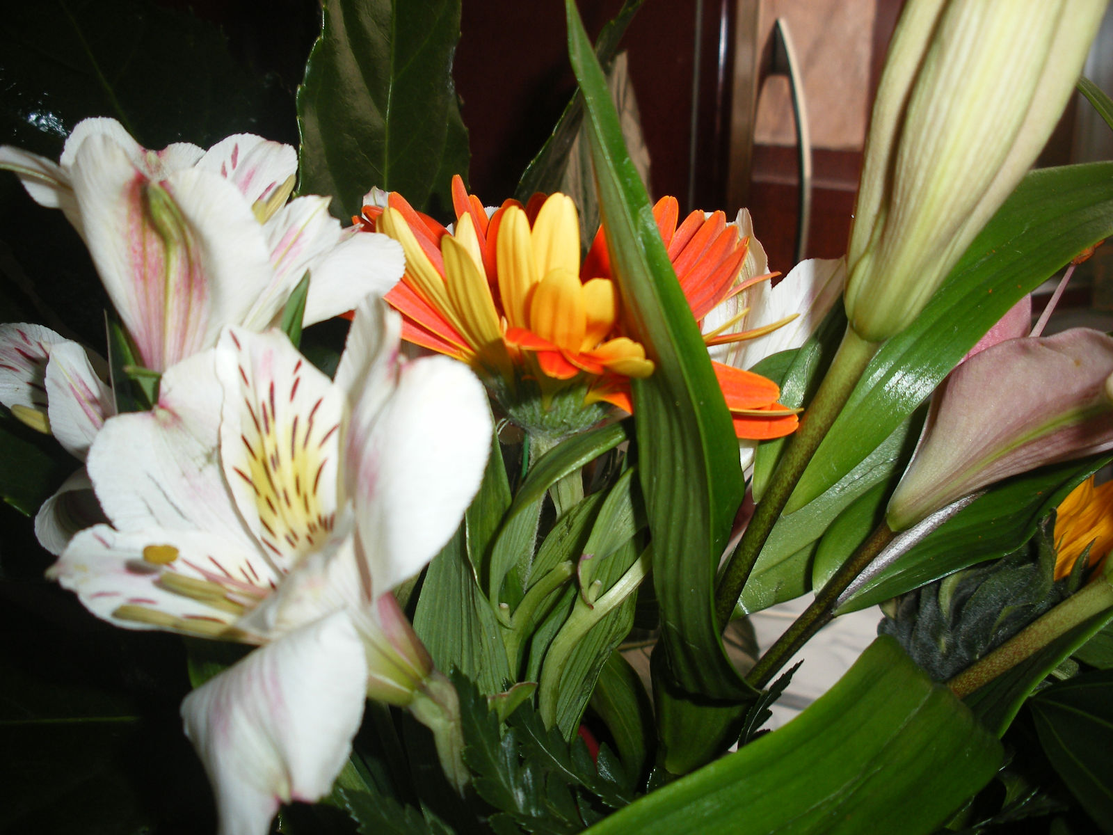 Flores para María: Tres ramitos de flores para María llenos de energía ...