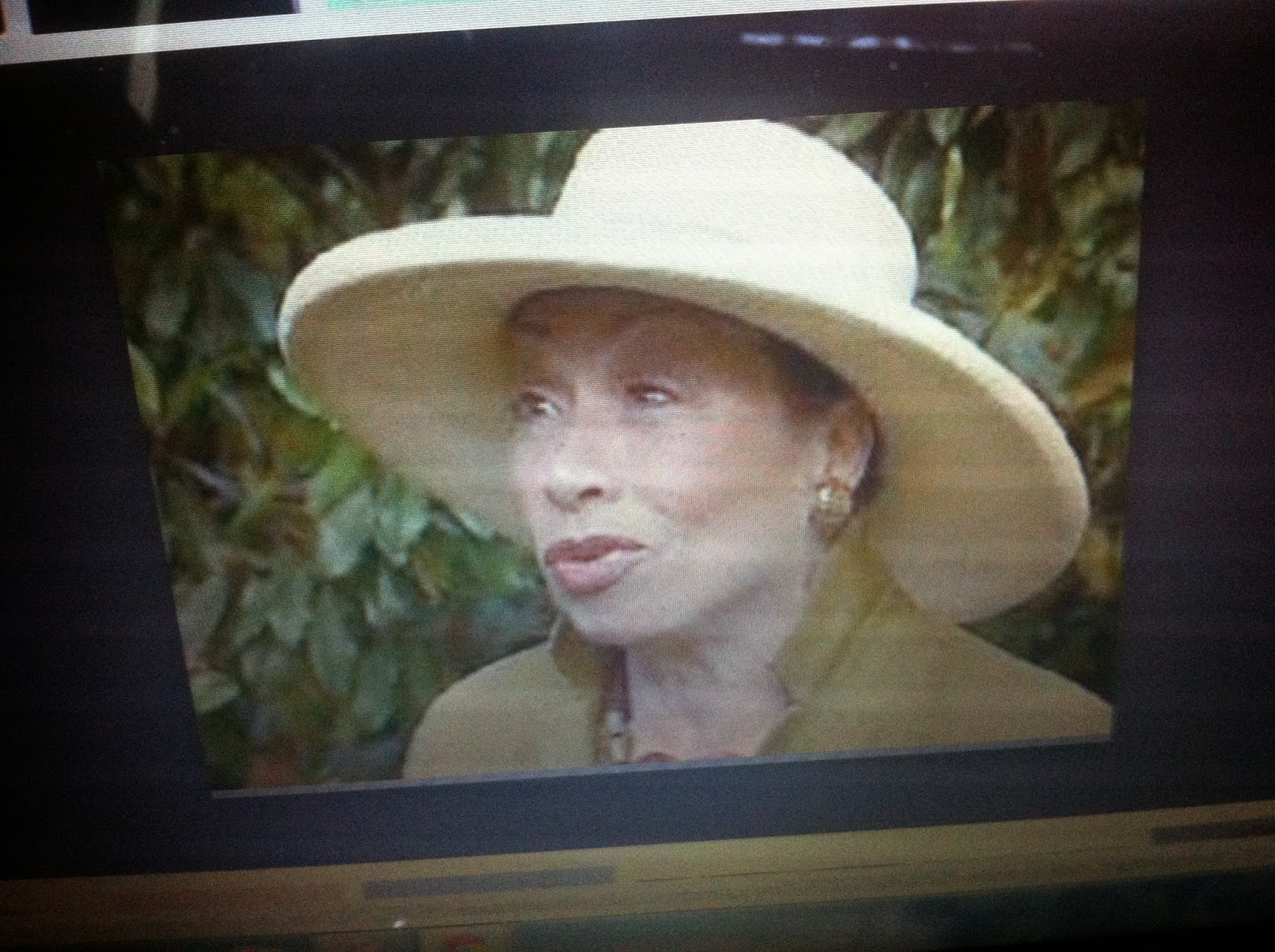 THE BLACK SOCIAL HISTORY:: BLACK SOCIAL HISTORY : AFRICAN AMERICAN ...