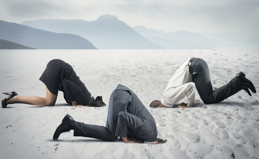 Cuando la ignorancia critica, la sabiduría observa y sonríe Rincón de ...