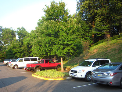 Ode Street Tribune: June 2013