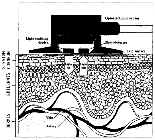 Reflectance Pulse Oximetry and Photoplethysmograph Signal Processing