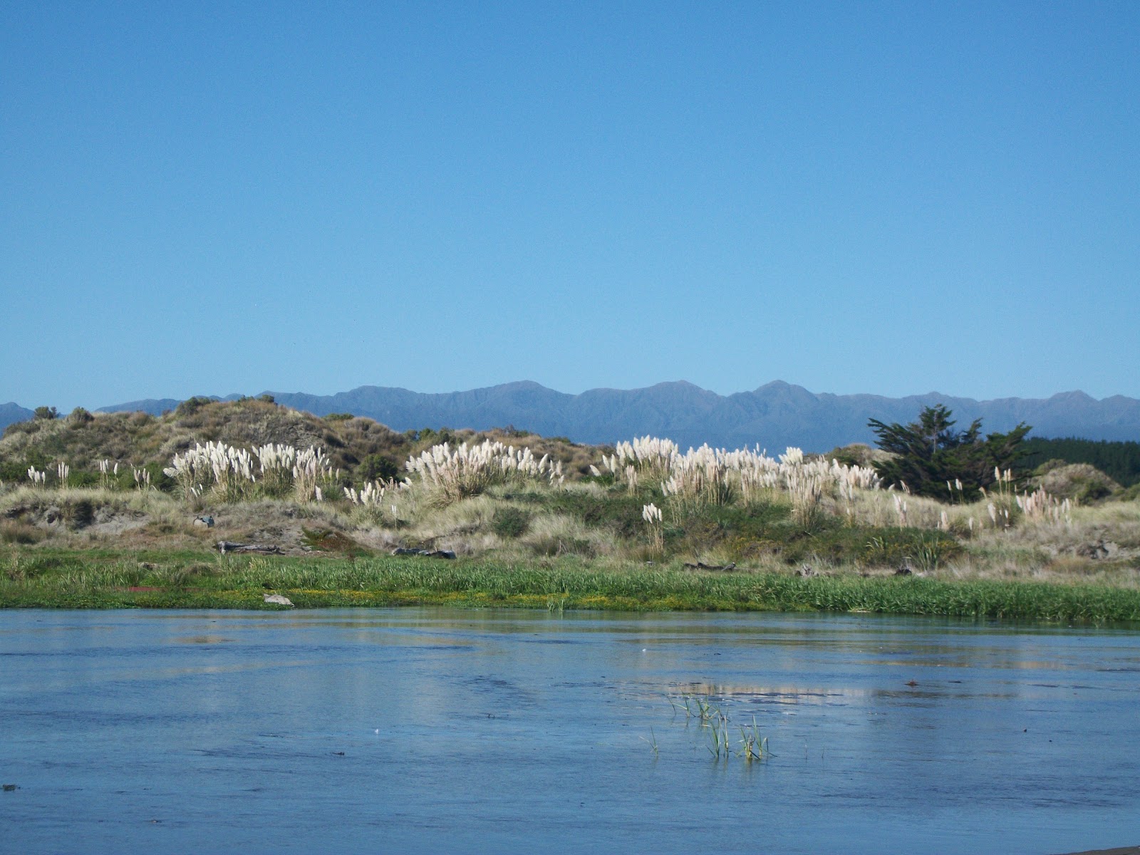Film Guru Lad Goes to New Zealand: Otaki Beach