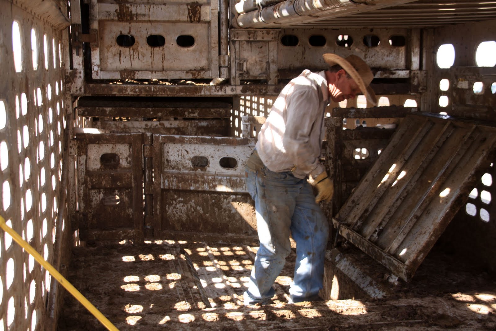 Double H Photography: Loading a Cattlepot