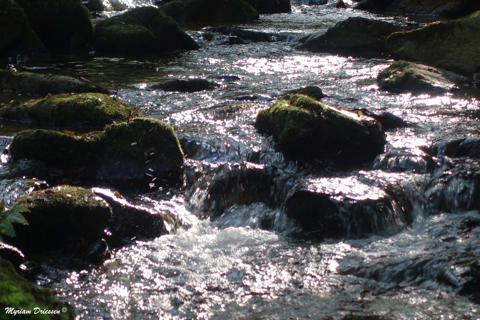 Gîte et découvertes de la vallée du Sant: Ruisseau de diamants