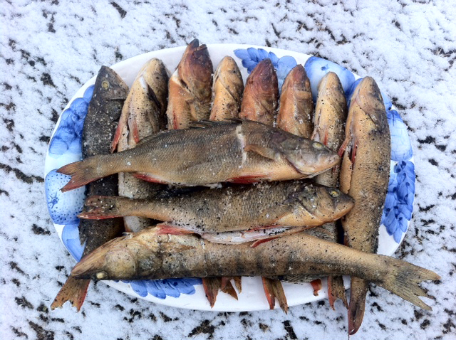 Klimp Yeastfood: Aasta esimene suitsukala ja pühadenuum