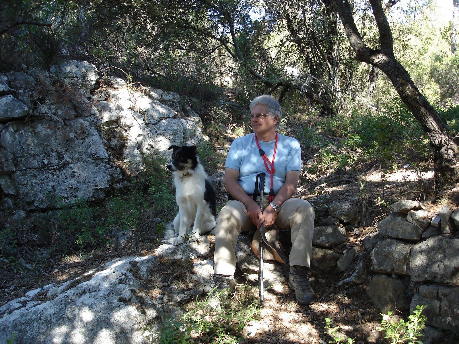 Une forêt en Provence: Jardiner en forêt