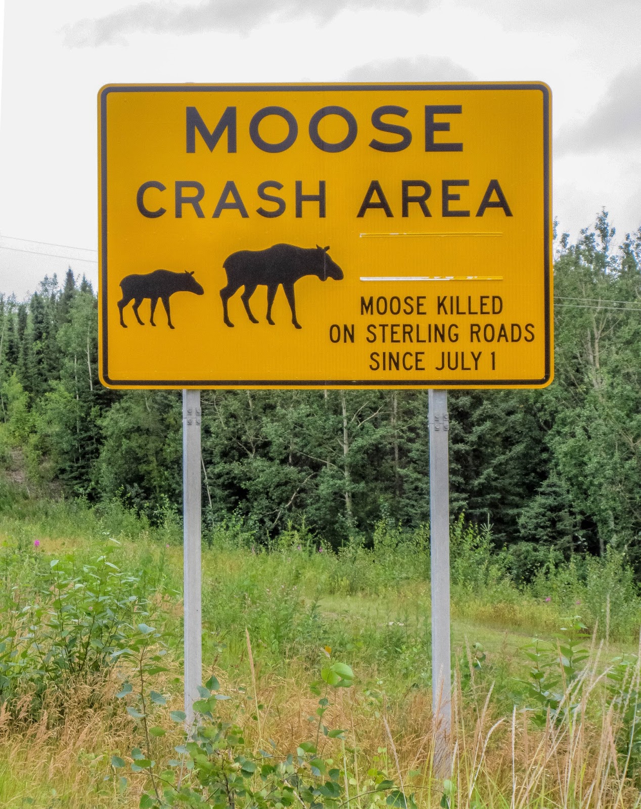 Cannundrums: Animal Signs