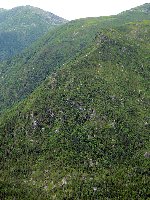 Hiking in the White Mountains: The Abandoned Adams Slide Trail