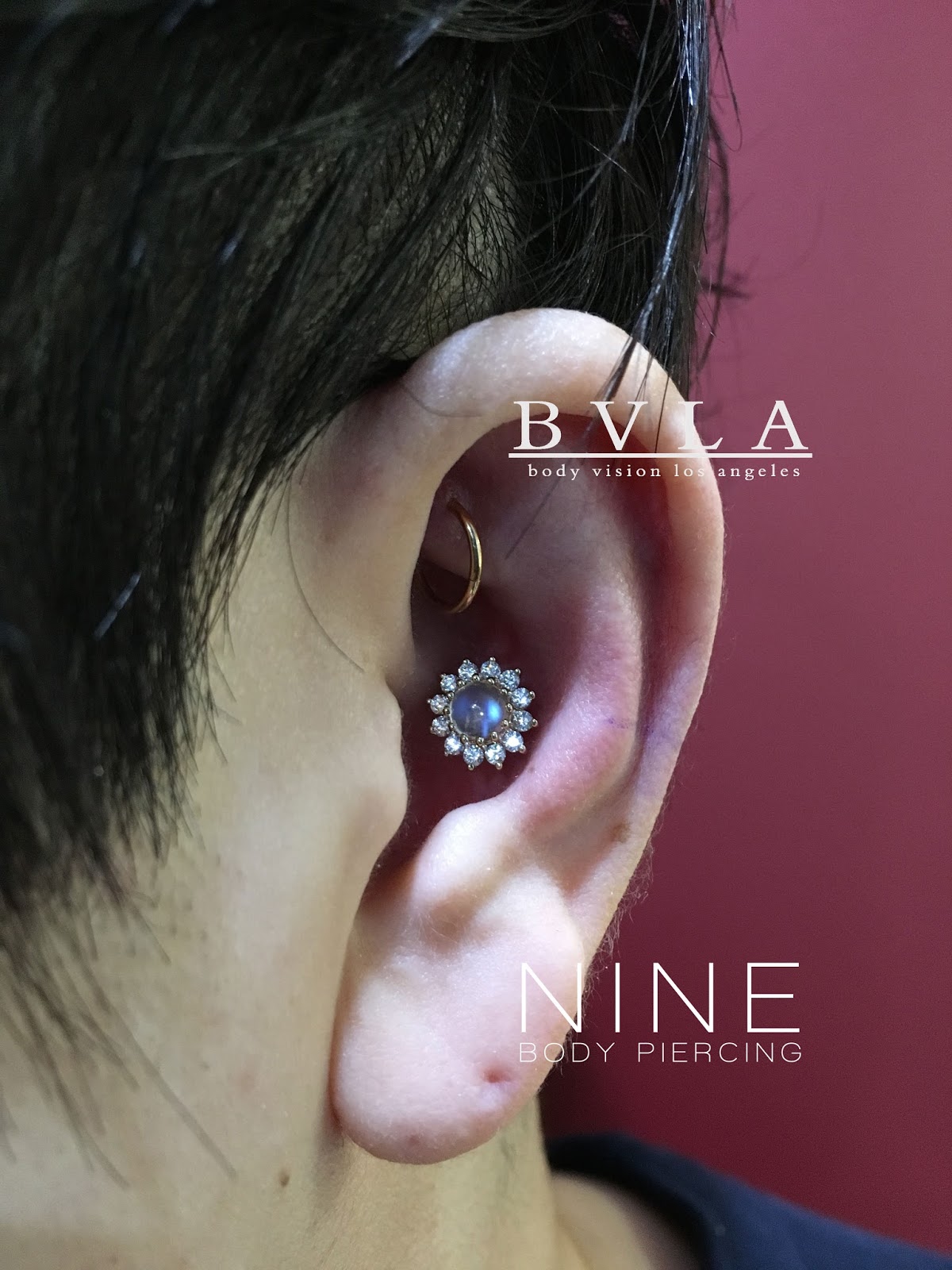 NINE BODY PIERCING BLOG: BVLA The Rose!!!