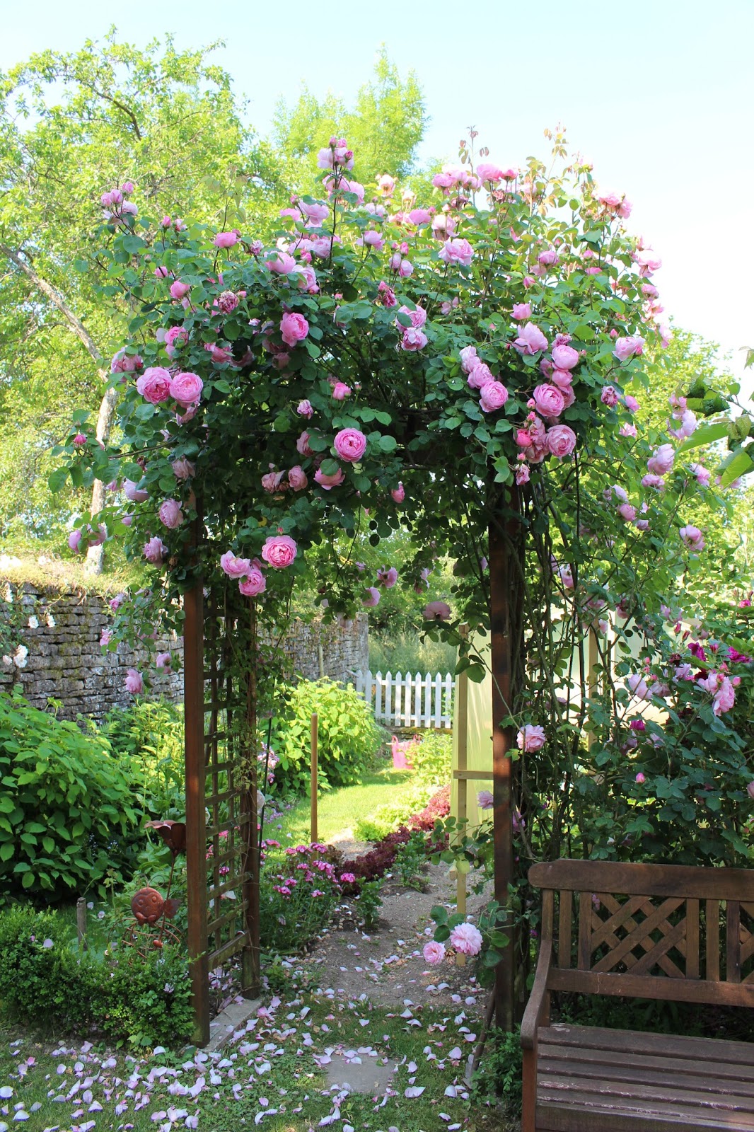 Notre jardin secret.: L'allée des roses