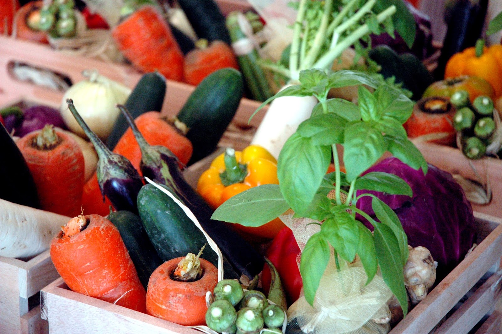 DUDE FOR FOOD: Global Flavors with the Freshest Local Produce at Taza ...