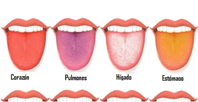 El color de tu lengua revela tu estado de salud, en total son 12 ...