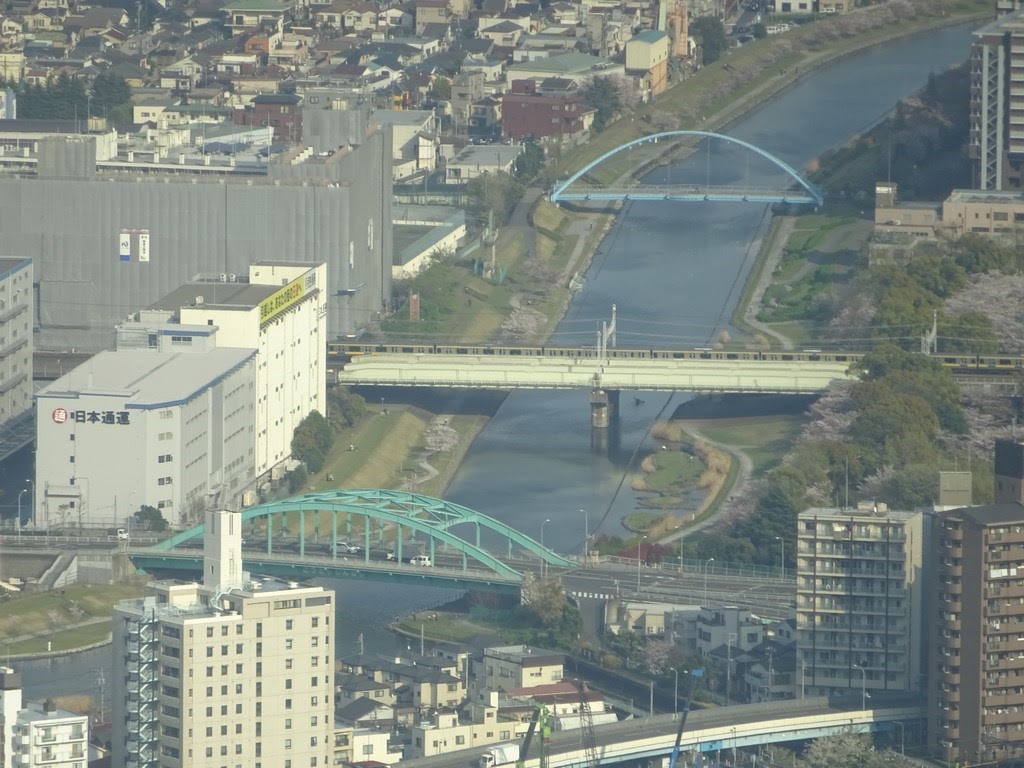 TÓQUIO - As Pontes vistas de SKY TREE VIAJAR é alargar os nossos ...