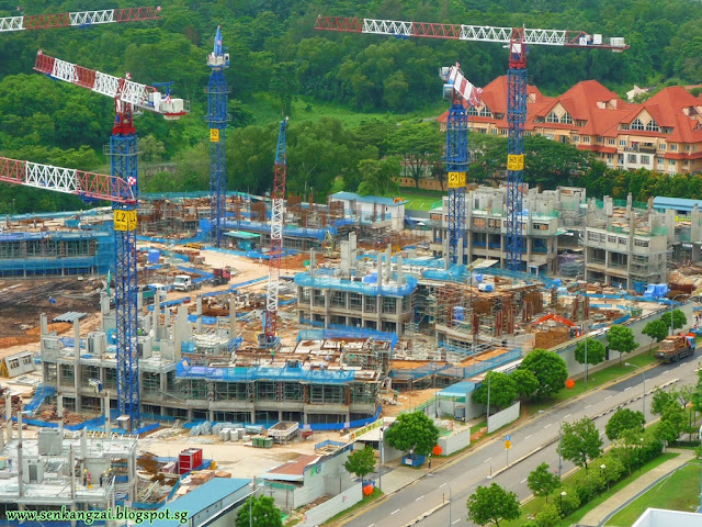 Zai@Sengkang: Fernvale Riverbow (Yr 12 Wk 50)