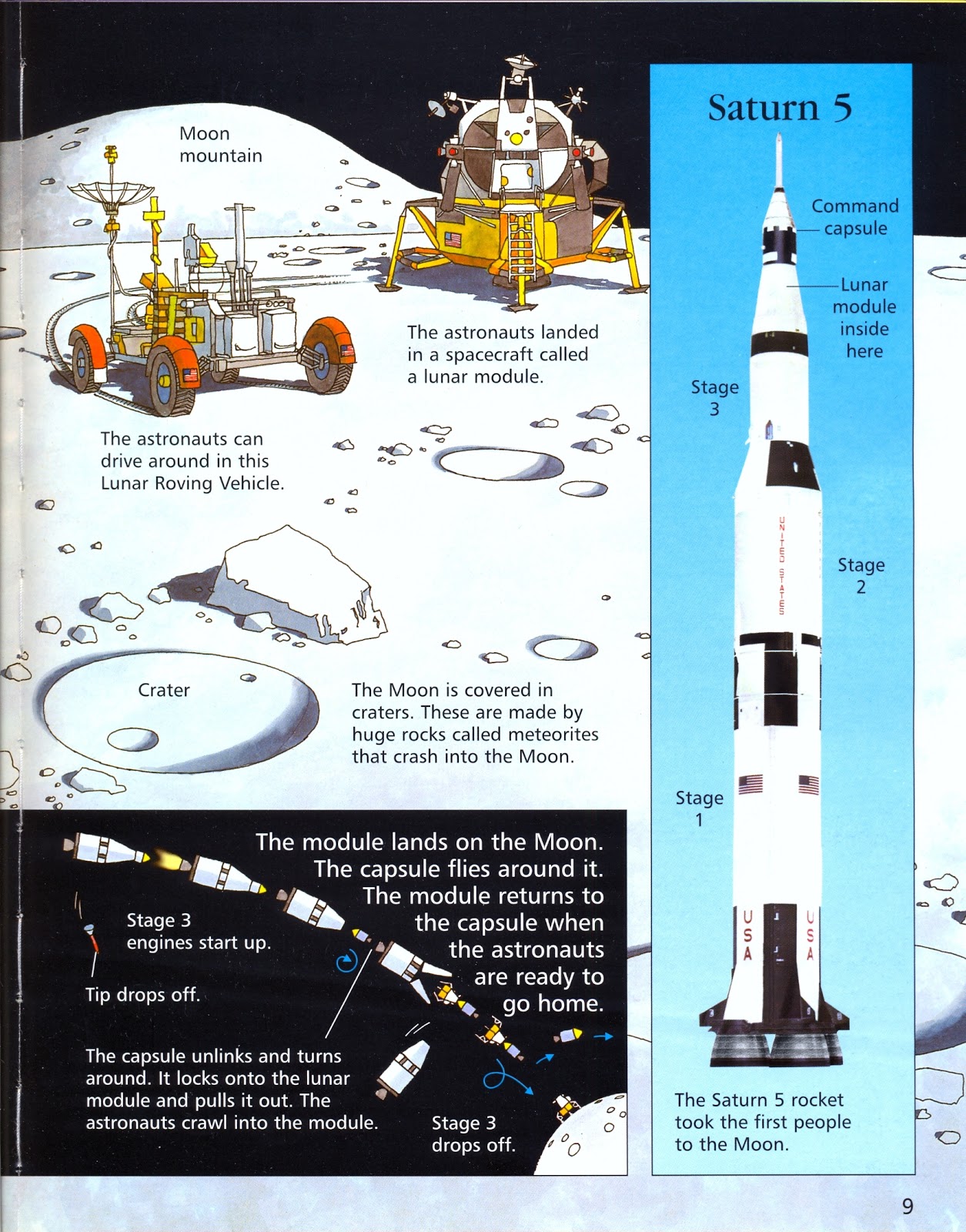 scienceclass5th: CURIOSITY CORNER