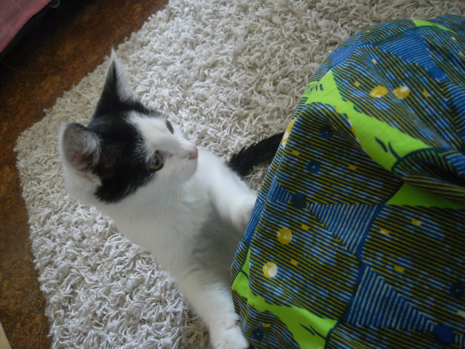 Livet och vardagen: Hon är här nu