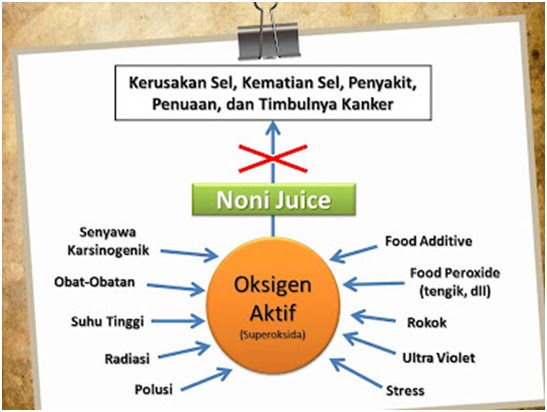 Sehat Alami dengan Produk Indonesia