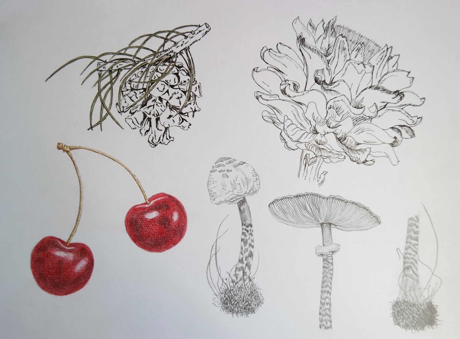 Draw and select | OCAdrawing1jfm