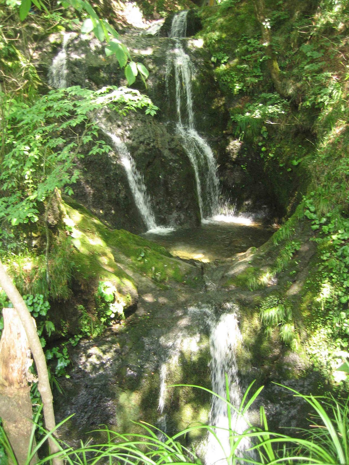 The World Tastes Good: First post from Akita