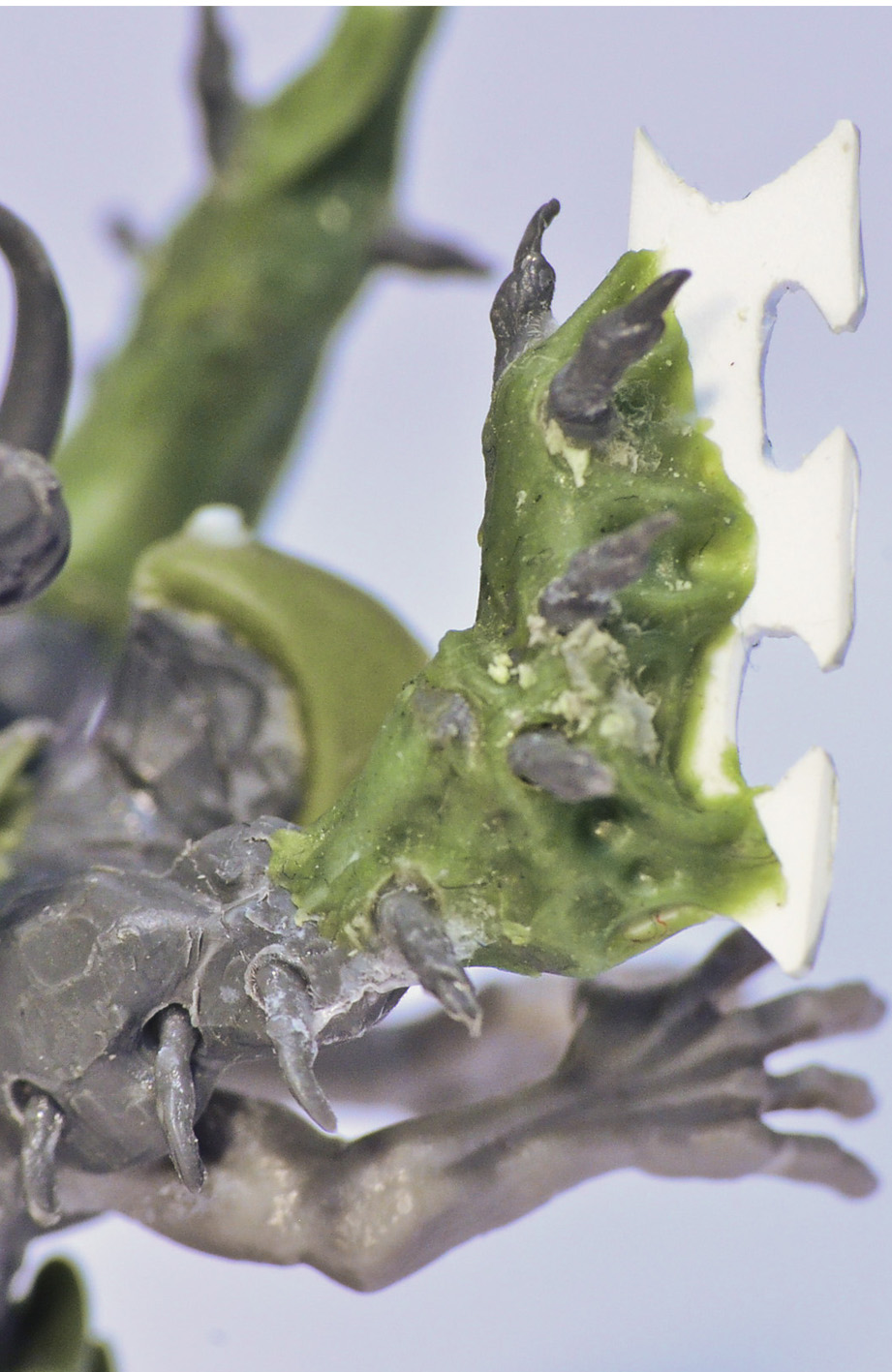 Modern Synthesist: Coven Wracks Update