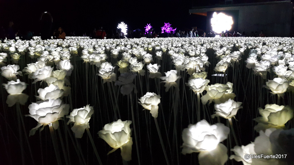 Explore.Dream.Discover: 10000 Roses Cafe at Night