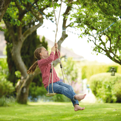 Piedmont Tree Climbing (PTC): Tree Swing Installation