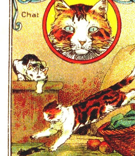 CATS (trading System) - Cat Trader