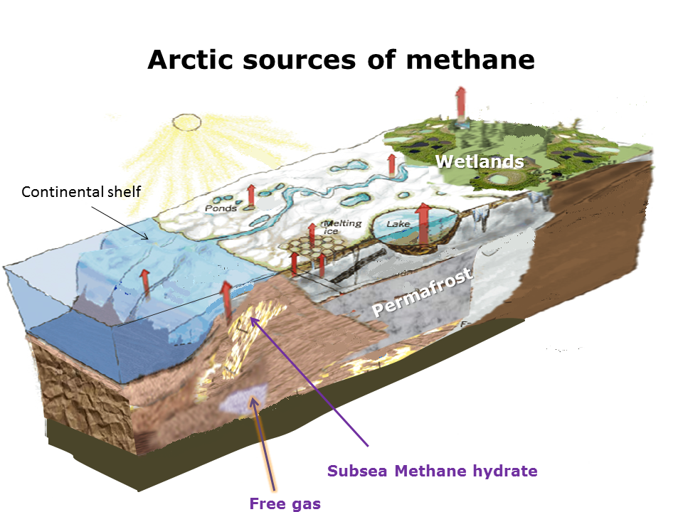 Which of the Following is a Source of Methane? | Svtuition
