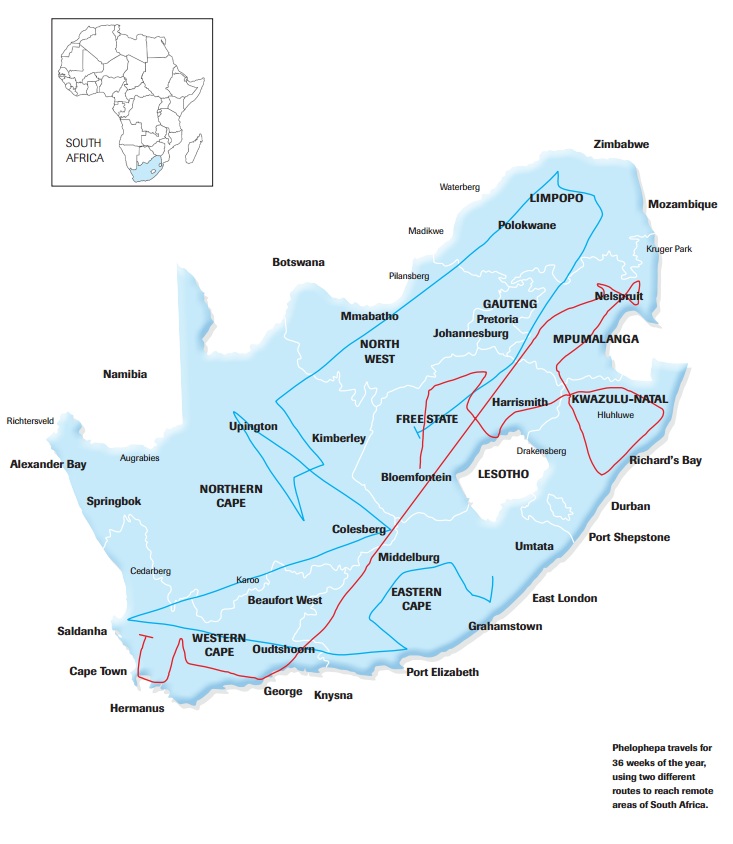 Industrie Pharmaceutique: Roche : Inauguration du second train de la ...